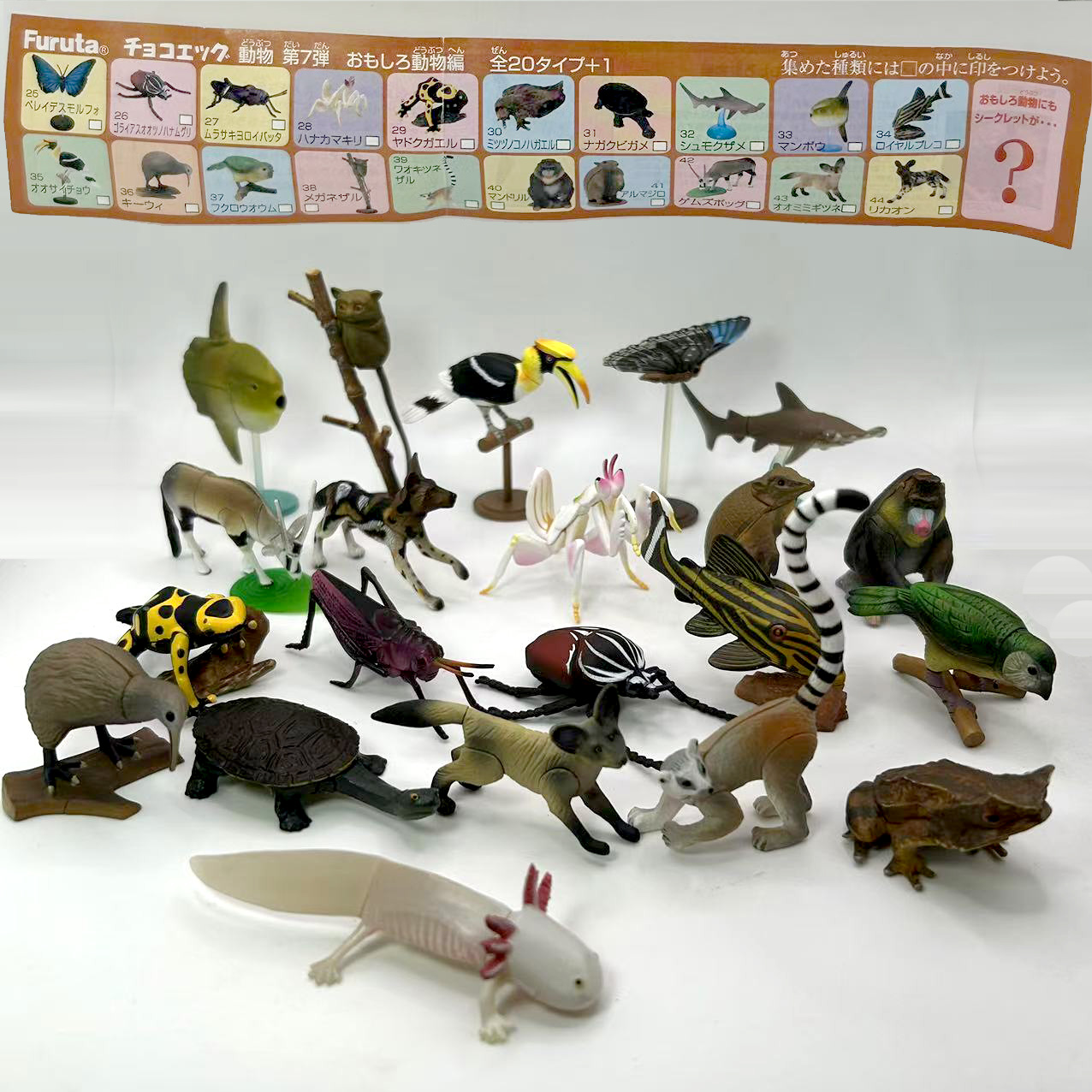 Kaiyodo Choco Egg S2 Animatales – Realistic Animal Figure | Your Pick ...